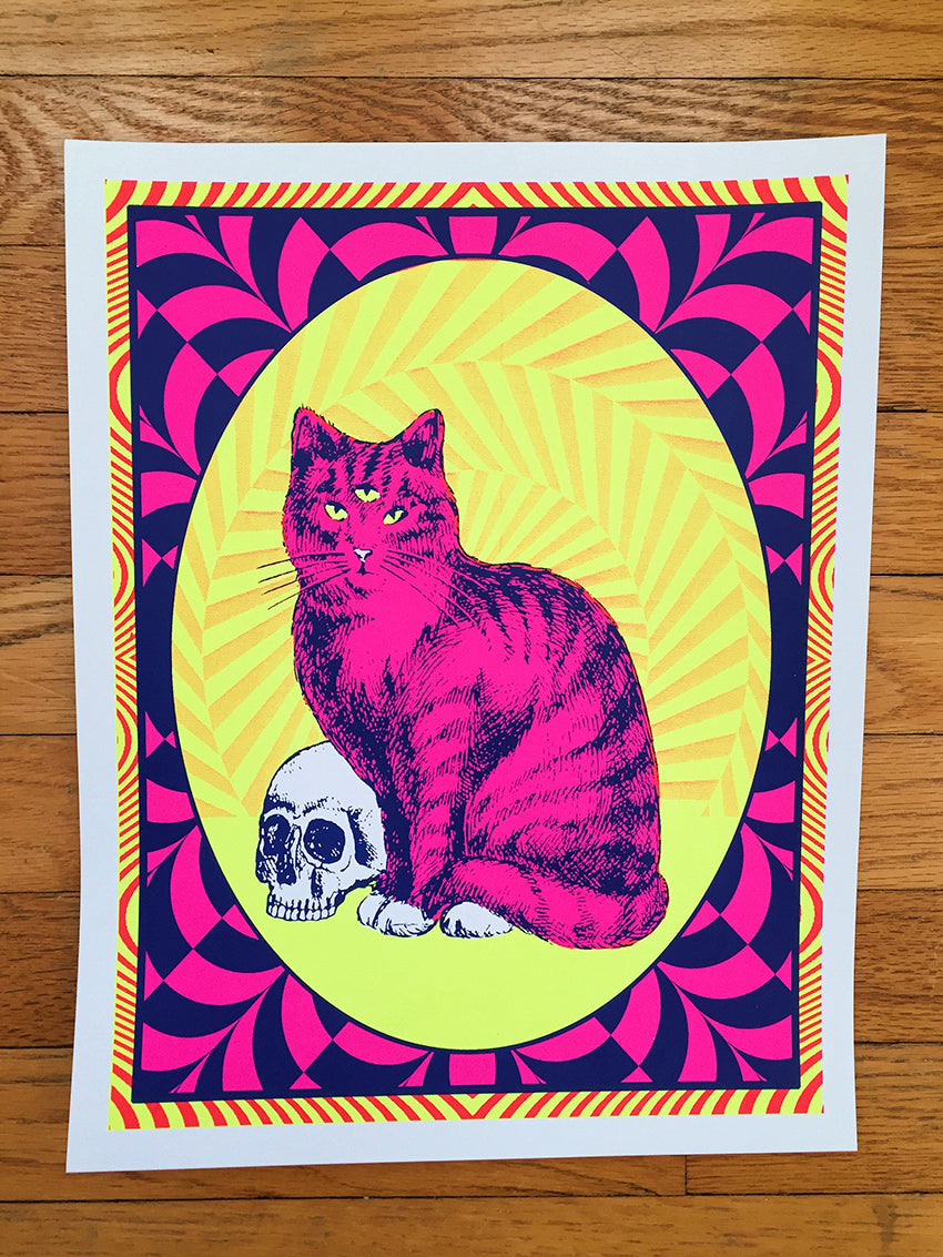Groovy Cat | NateDuval.com